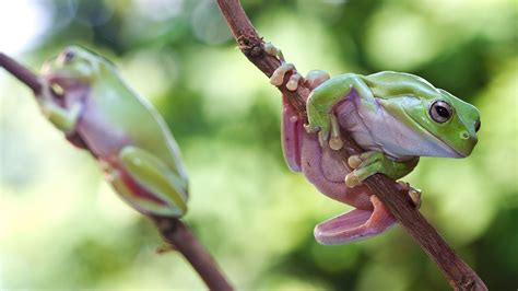Så Ser Utövarna På Dominant Sex Och Underkastelse