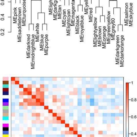 Eigengene Network Including Dendrogram And Heatmap Shows The Download Scientific Diagram