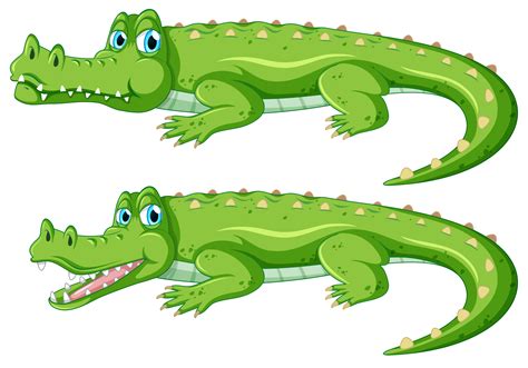 Alligator Teeth Cartoon At Philip Ayala Blog