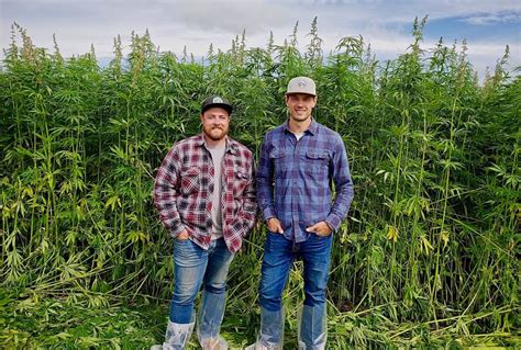 Bruderheim To Be Home To Continents Biggest Hemp Processing Facility Alberta Farmer Express