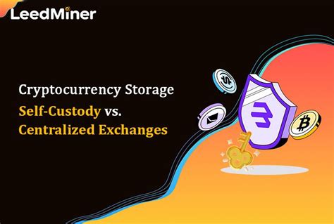 Cryptocurrency Storage Self Custody Vs Dora Qin