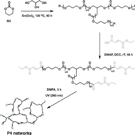 Synthesis Of P4 Networks Through Uv Cross Linking Of Fumaric Acid Download Scientific Diagram