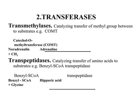 Enzymes Nomenclature And Classification Ppt