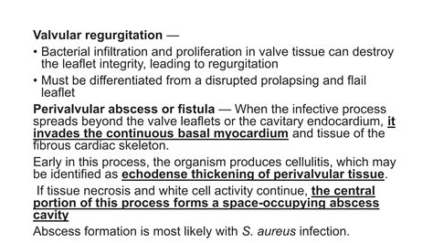 Infective Endocarditis Echocardiography Pptx