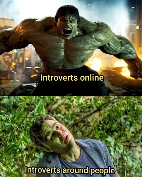 Introvert Memes Meme Memes Introverts Funny Memes Introvert