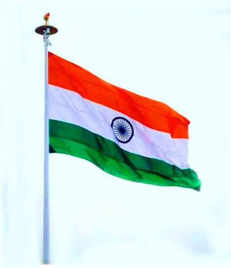 1879 Tiranga Photo Wallpaper Pictures Whatsapp Dp Artofit
