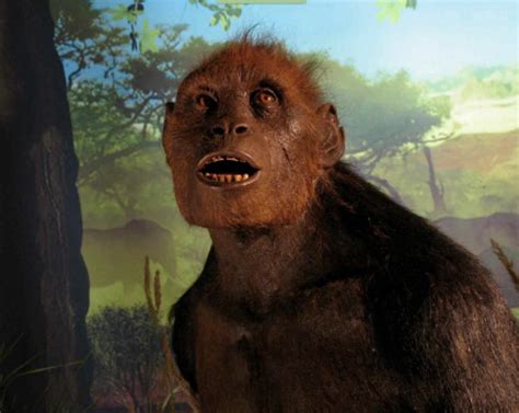 7 Million Year Old Sahelanthropus Fossils Bolster Case For Earliest