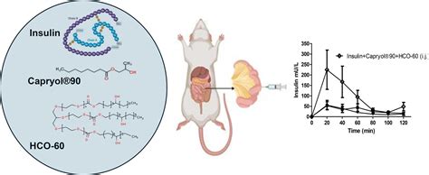 Capryol® 90 Is An Efficacious Intestinal Absorption Enhancer For