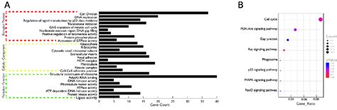 Functional Annotation Analysis Of Degs A Gene Ontology Enrichment