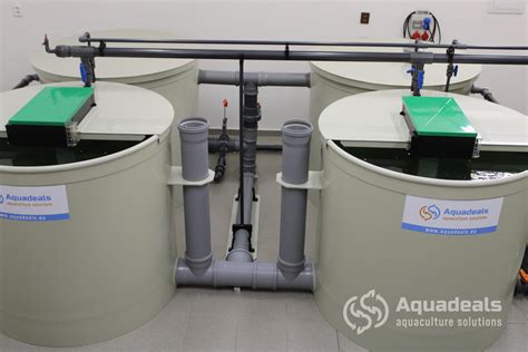 Mini Ras Module Aquadeals Eu