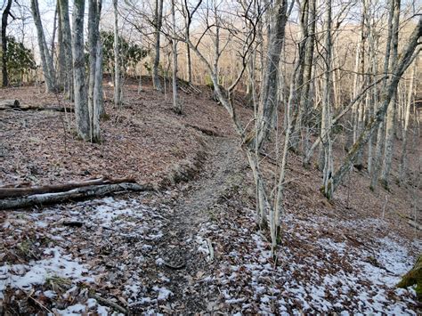 American Travel Journal Max Patch Road To Max Patch Summit