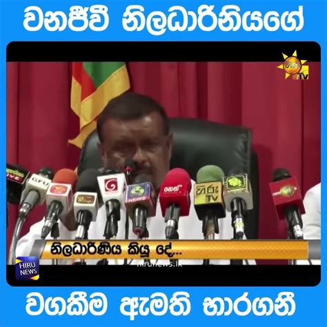 වනජීවී නිලධාරිනියගේ වගකීම ඇමති භාරගනී Hiru News Youtube