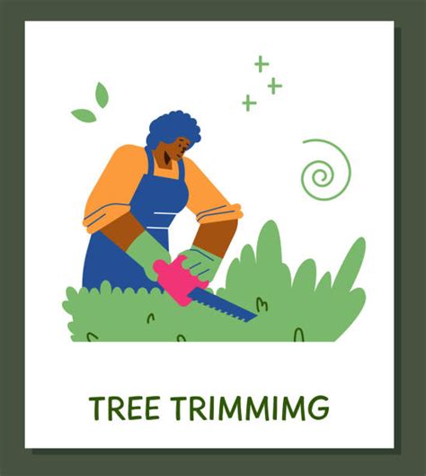 60 Tree Trimming And Pruning Stock Illustrations Royalty Free Vector
