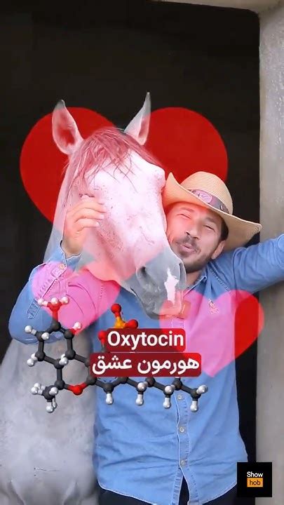 اکسی‌توسین یا هورمون عشق ️ Youtube