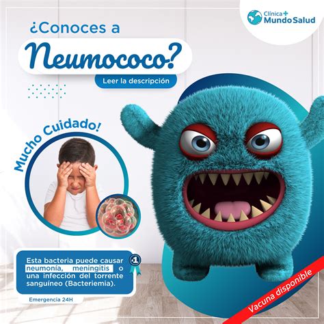El Neumococo Es Una Bacteria Muy Clínica Mundo Salud Facebook