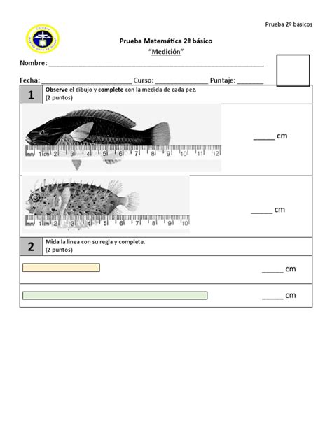 Prueba De Medición 2º Básico Pdf Metro Longitud