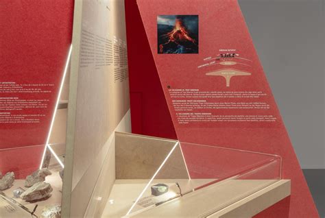 Countdown To Mass Extinction Museum Ladin Museum Ladin