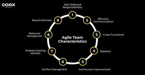 Perspective On Agile Software Development Team Structure And Dynamics