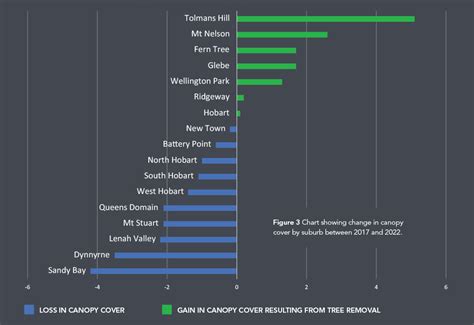 State Of The Canopy Our City Canopy