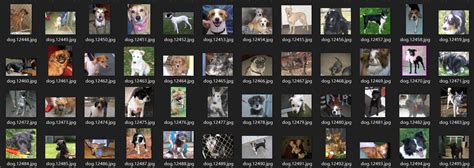 基于cnn卷积神经网络 猫狗图像识别 猫狗识别数据集 csdn博客