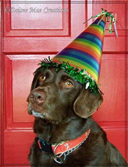 Daisee Mae Creations Anniversary