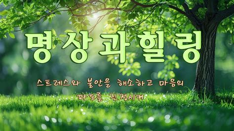 명상과 힐링 스트레스와 불안을 해소하고 마음의 파도를 진정시켜 주는 힐링 음악 휴식음악 만병을 치료 잠잘때 듣는 음악 물소리 Youtube