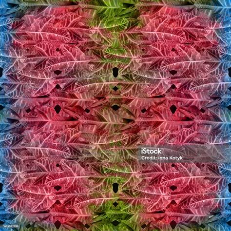 수채화 배경에 잎 식물 요소가있는 장식 구성 크로톤 원활한 패턴 에코 프린트 인쇄 된 제품 간판 포스터 엽서 포장을 사용하십시오 개체 그룹에 대한 스톡 벡터 아트 및 기타