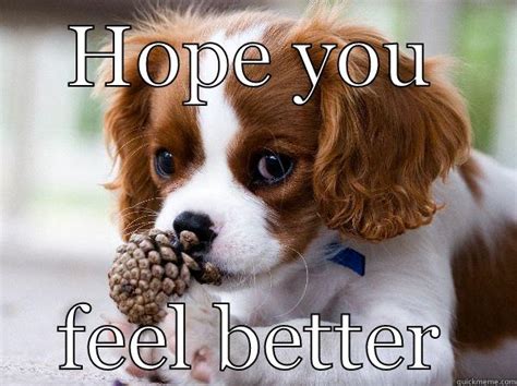 Hope Youre Feeling Better Funny
