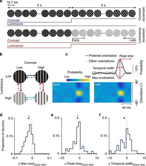 Stimulus Design And Linear Response Characteristics Of V1 Neurons A