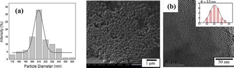Estimation Of The Diameter Of The Porous Sio2 Nps By A Dls And Sem Download Scientific