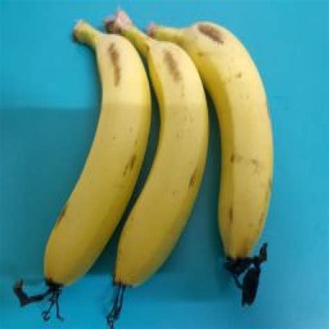 Deteksi Buah Pisang Object Detection Dataset And Pre Trained Model By