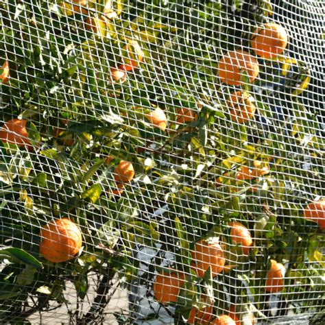 Agricultural Nets Custom Nets