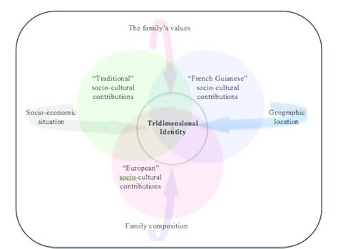 Identity Dynamics Of Young People Of Amerindian And Maroon Descent Download Scientific Diagram