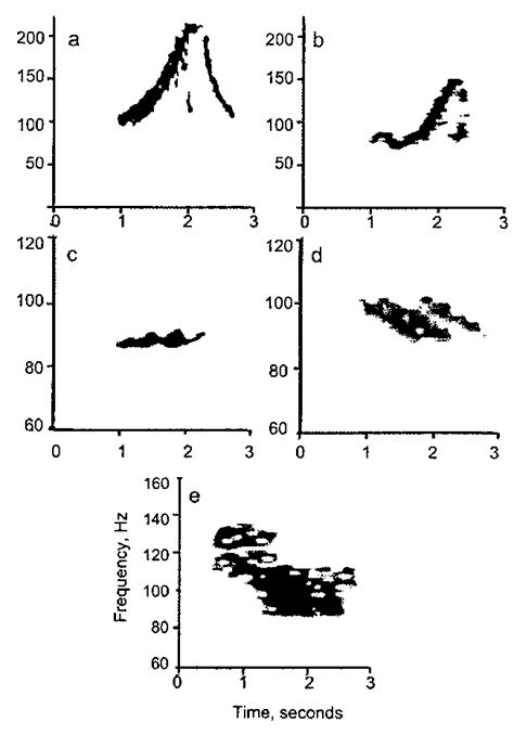 Spectrograms Illustrate Representative Examples Of The Call Type Download Scientific Diagram