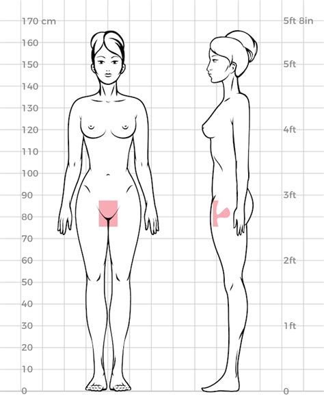 Genitals Brighton Body Casting