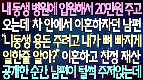 반전 사연 내 동생 병원에 입원해서 20만원 주고 오는데 차 안에서 이혼하자던 남편 니동생 용돈 주려고 뼈 빠지게 일한줄 알아” 이혼하고 친정 재산 공개한 순간