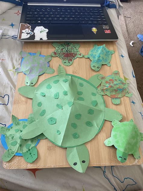 Turtle 🐢 Army R Ageregression