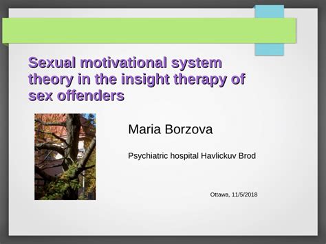 PDF Sexual Motivational System Theory In The Treatment Of Sex Offenders