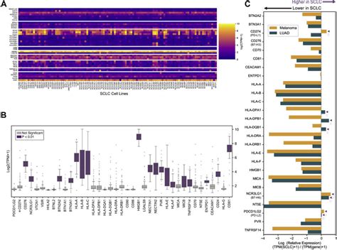expression of immune checkpoint molecules in sclc cell lines a