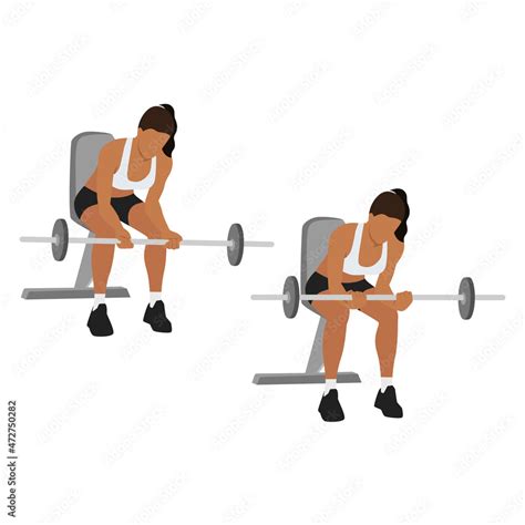 Woman Doing Seated Palm Up Wrist Curls Exercise Flat Vector