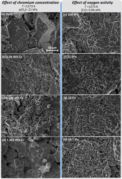 The Sem Micrographs For Two Series Of Cr Doped Tio2 Specimens Formed