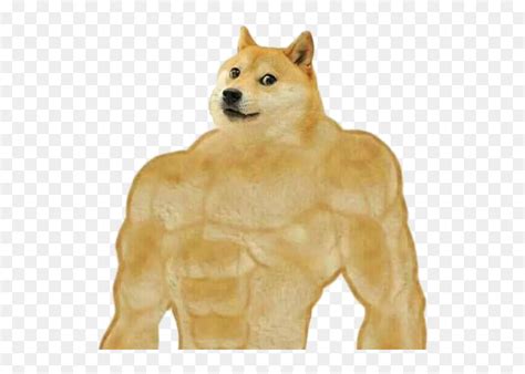 My Dog Became Gigachad Anybody Think They Can Help Rdog