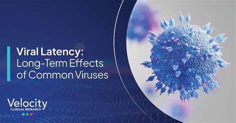Viral Latency Long Term Effects Of Common Viruses Velocity Clinical