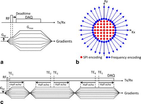 Ramped Hybrid Encoding Rhe A Pulse Sequence Diagram B Sampling Download Scientific
