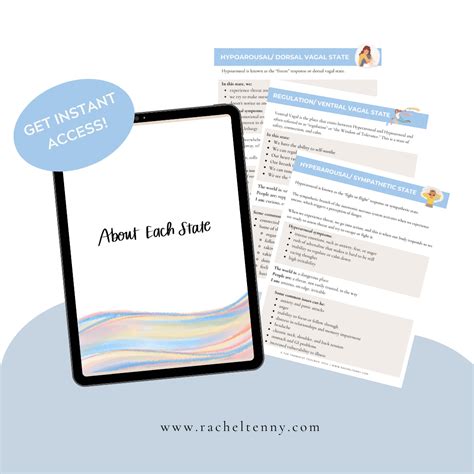 Nervous System States Worksheets Digital Download Rachel Tenny