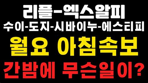 엑스알피 리플코인 월요 아침속보 간밤에 무슨일이 수이코인 도지코인 시바이누코인 에스티피코인 코인왕국tv 불독코인