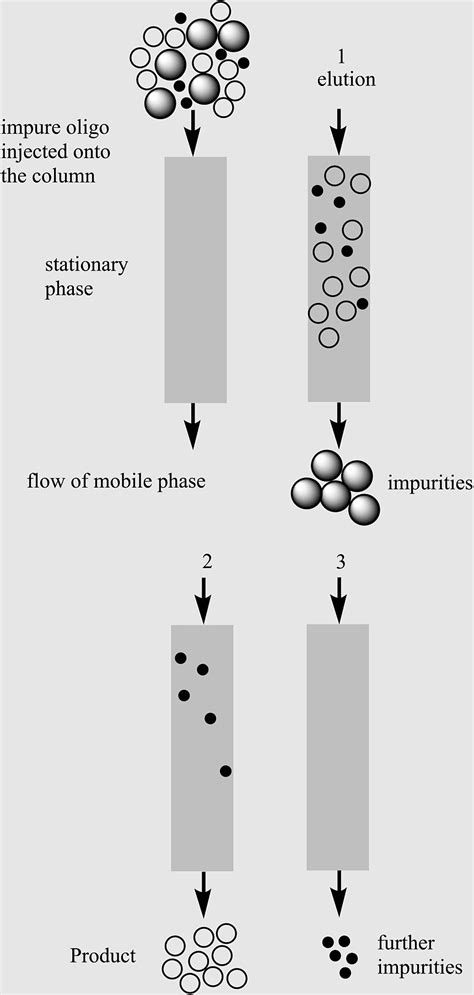 Chromatography Protein Elution At Lynn Walker Blog