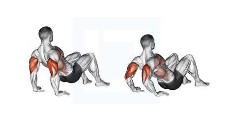 Cheat Curl Guide Benefits And Form
