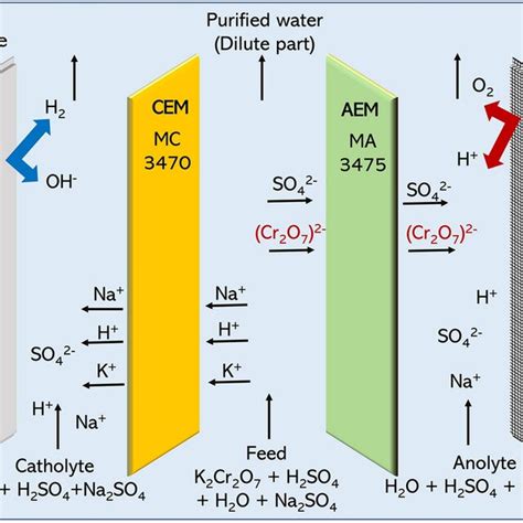 Batch Mode Operation For Chromium Download Scientific Diagram