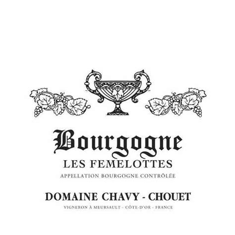 Domaine Chavy Chouet Bourgogne Blanc Les Femelottes 2023 Chateau Cellars